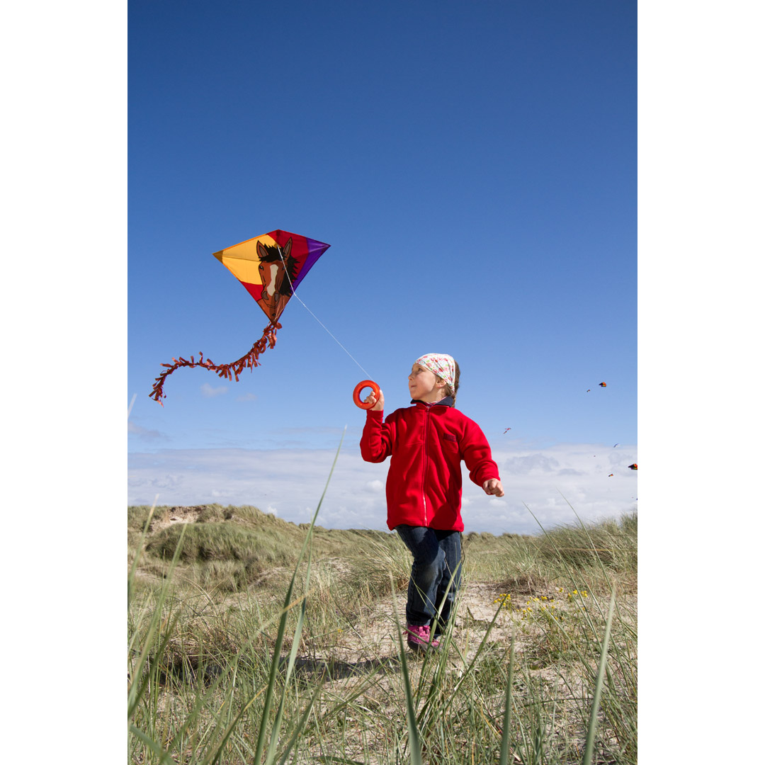 Eddy Bronco - Kids Kites, age 5+, 68x68cm, incl. 17kp Polyester Line ...
