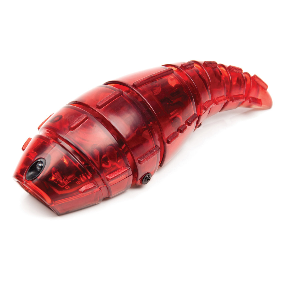 Hexbug Larva